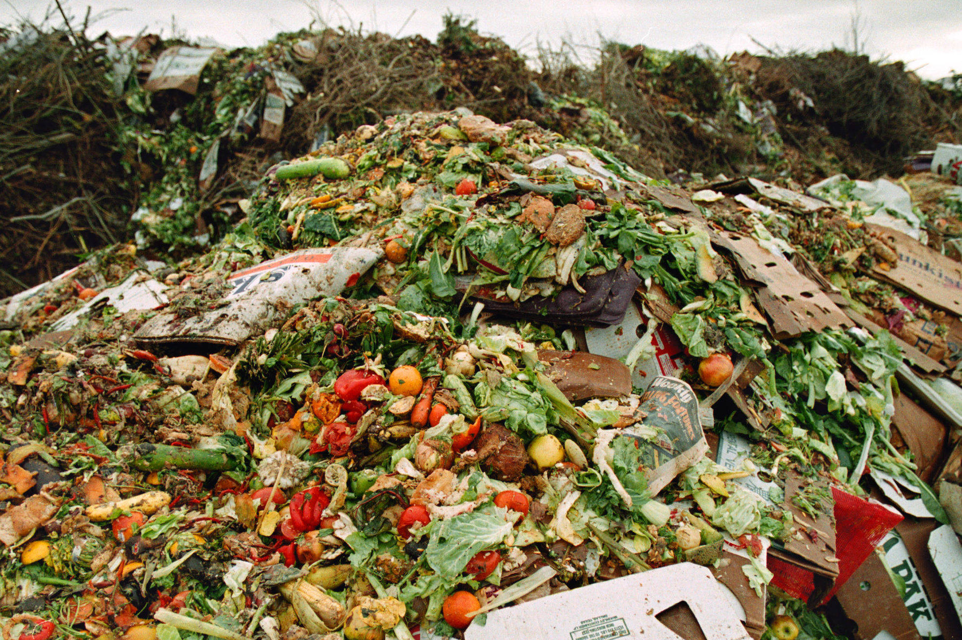 Sustainability at Recology